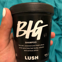 LUSH Big Sea Salt Shampoo Reviews