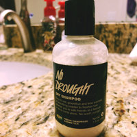 LUSH No Drought Dry Shampoo Reviews 2019