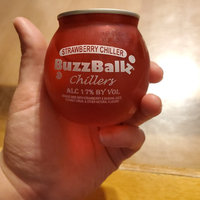BuzzBallz Reviews 2019 | Find the Best Alcohol | Influenster