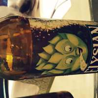 Elysian Space Dust IPA Reviews 2019