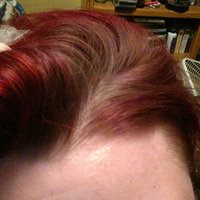 LUSH No Drought Dry Shampoo Reviews 2019