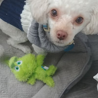 BarkBox 2018 Reviews