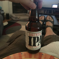 Lagunitas IPA India Pale Ale - 6 CT Reviews 2019