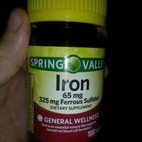 Spring Valley Iron 65Mg 100Ct Iron 65 Mg Tablets Dietary Supplement 100 ...