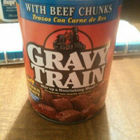 Gravy Train Dog Food Beef Flavor Reviews 2019