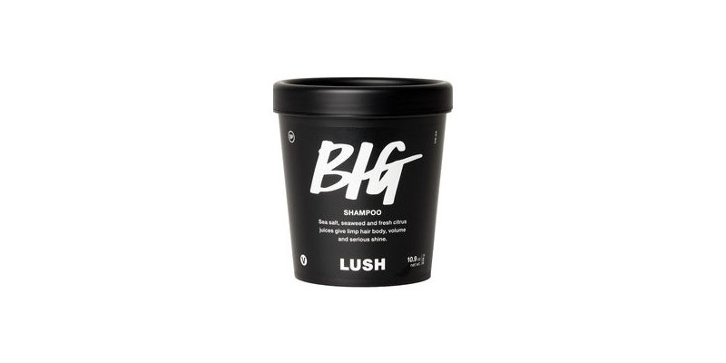 LUSH Big Sea Salt Shampoo Reviews 2019