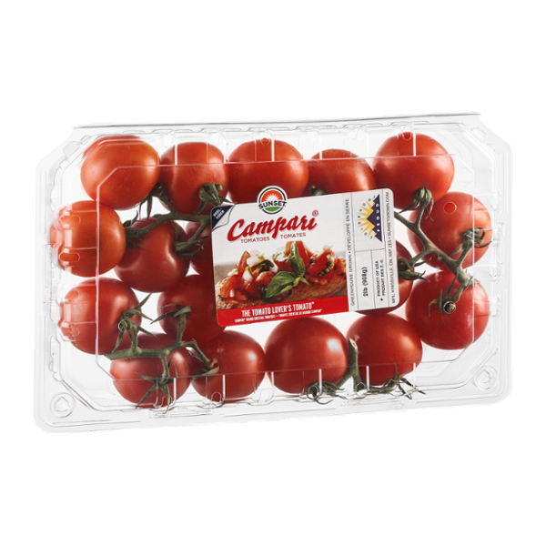 Sunset Campari Tomatoes Reviews 2019