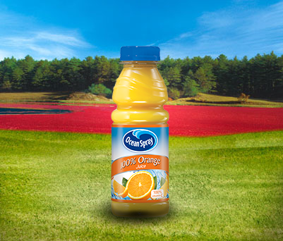 Ocean Spray 100% Orange Juice Reviews 2019