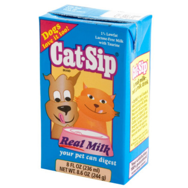 Cat Sip CatSip Milk for Cats Reviews 2019