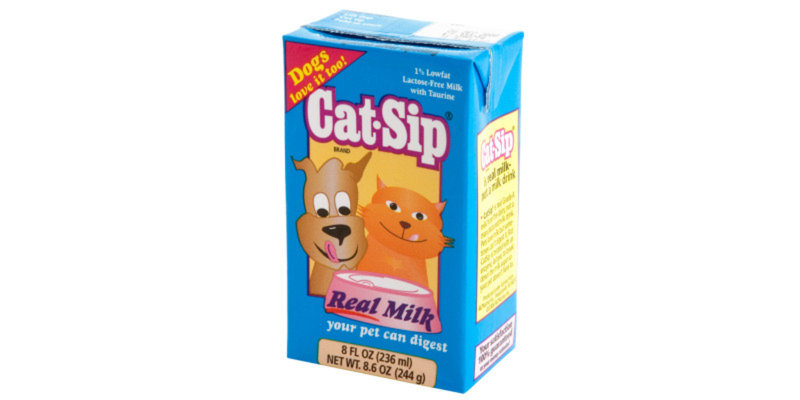 Cat Sip CatSip Milk for Cats Reviews 2019