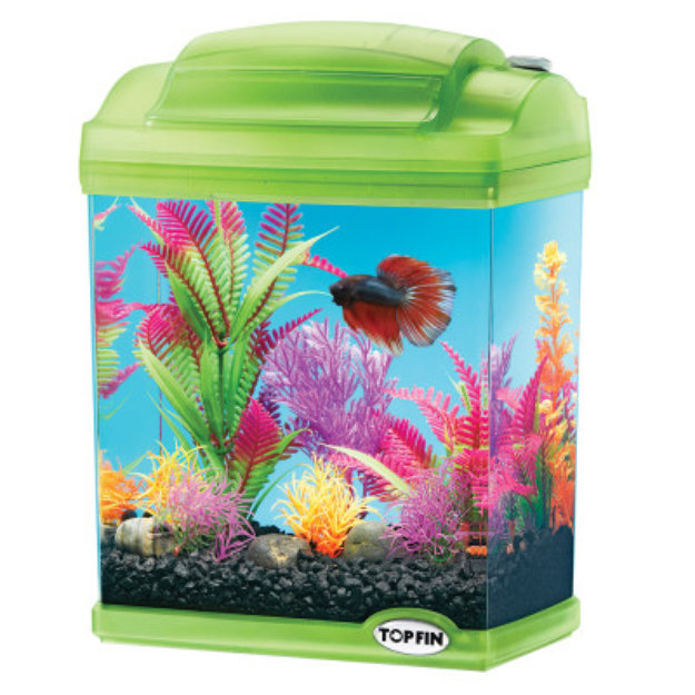 Top FinA Glow in the Dark Fish Tank Reviews 2019